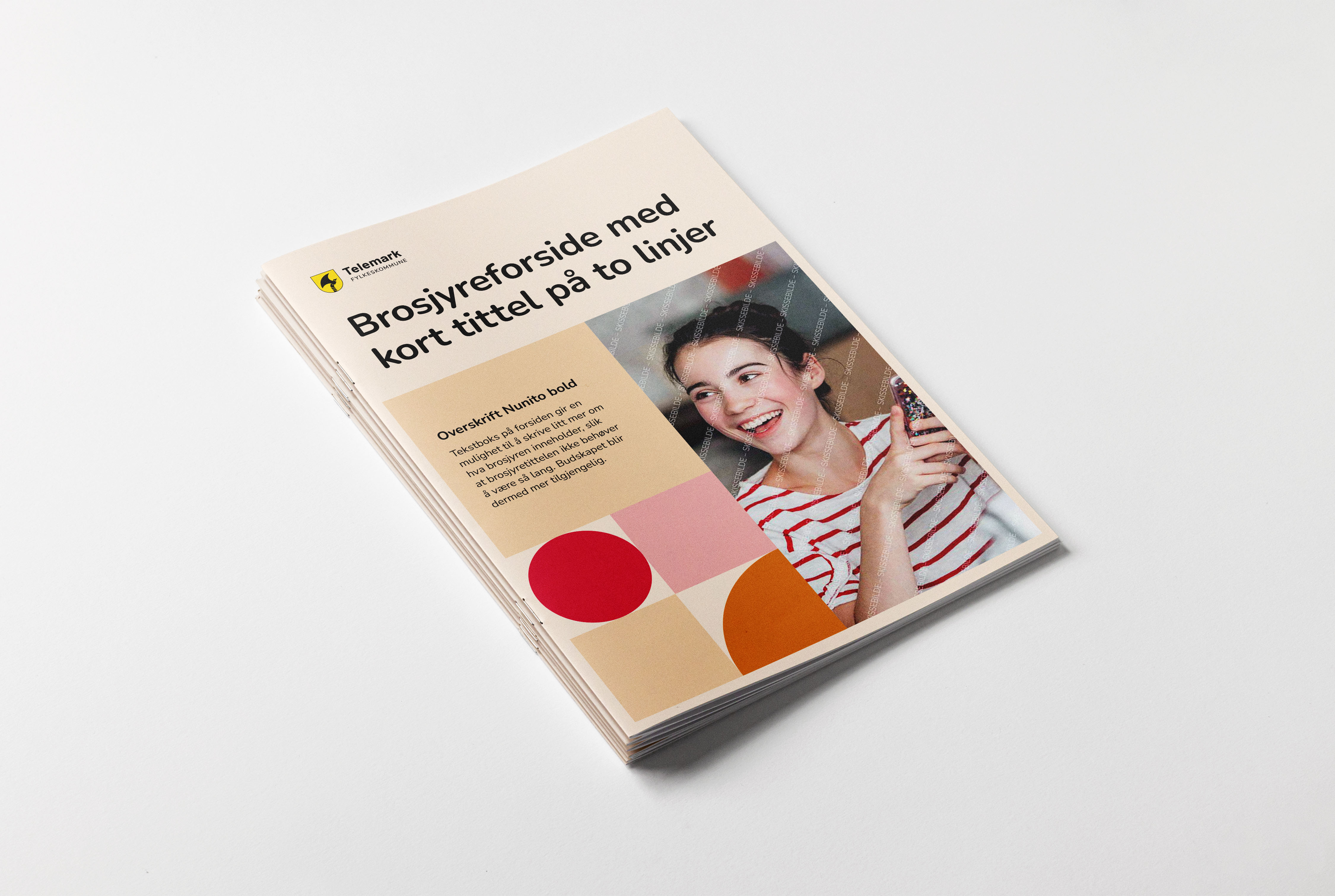 Brosjyrer og rapporter - Telemark fylkeskommune